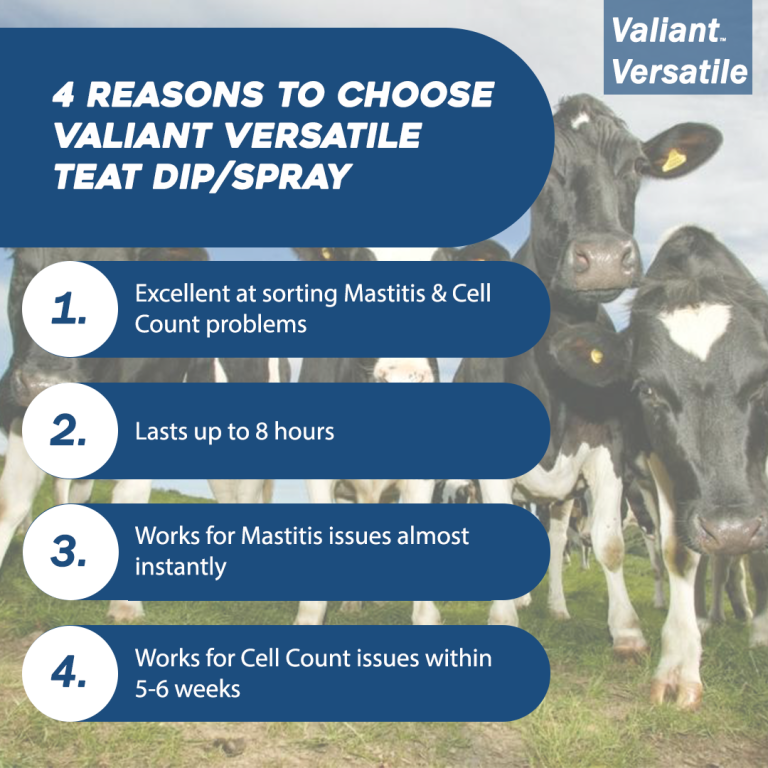 Valiant Versatile 20L Teat Dip – Agrineeds – Irish Agricultural ...